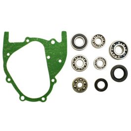 GY6 Transmission Bearing & Seal Kit